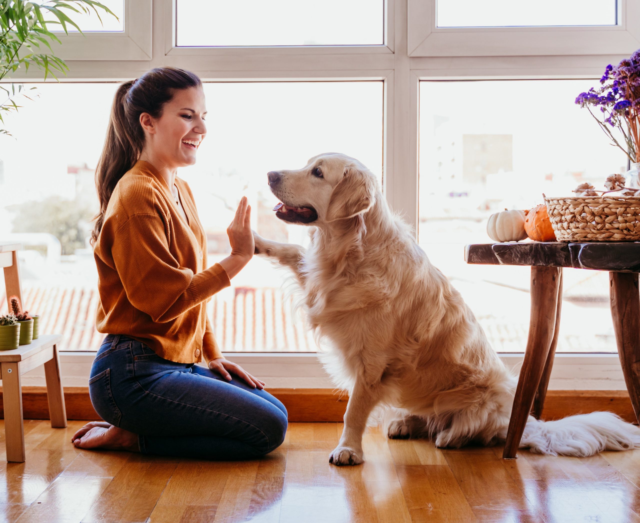 FHA Loans | United Home Loans